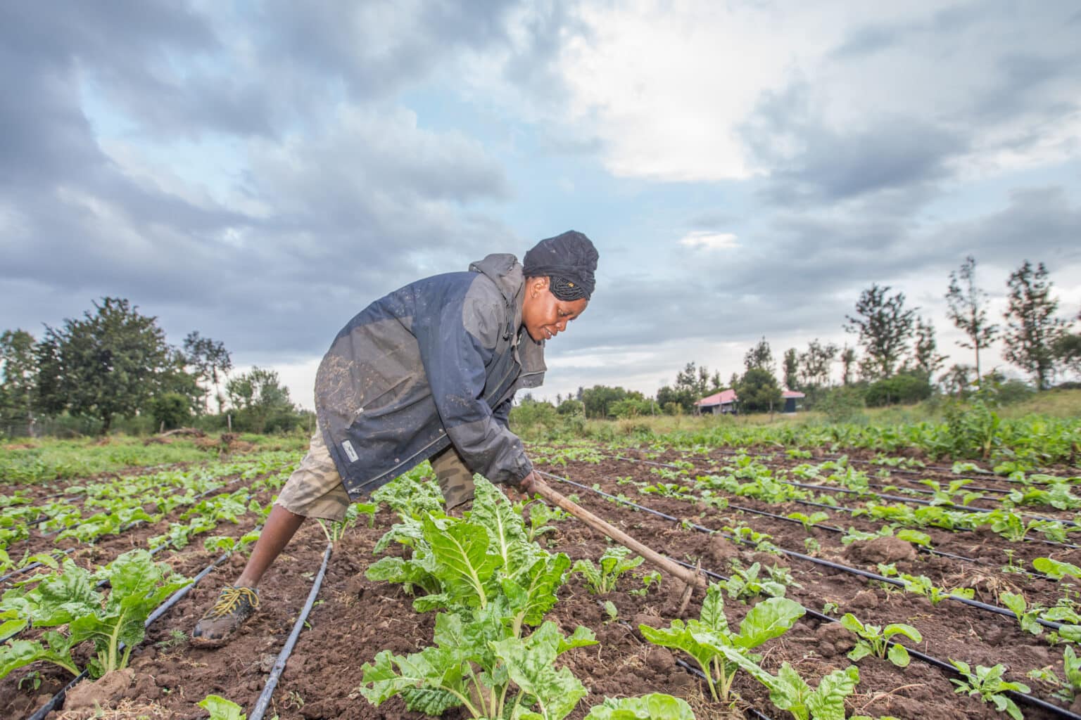 Partner with us - Shell Foundation