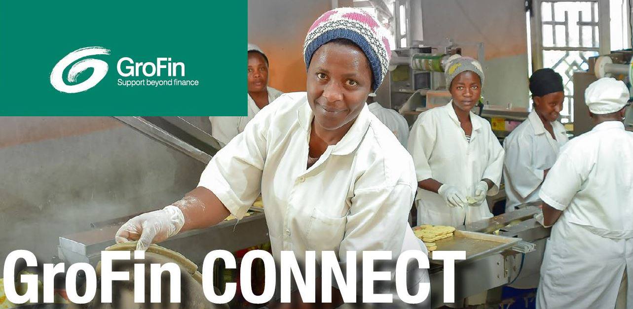 GroFin honoured by awards in Ghana and Nigeria - Shell Foundation