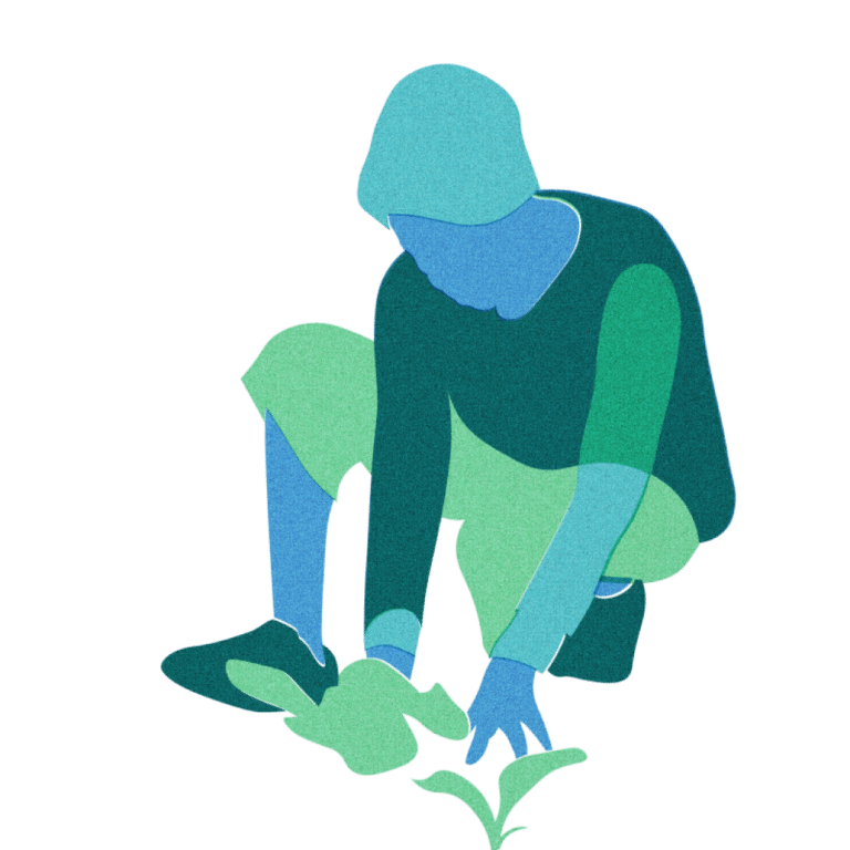 About Shell Foundation