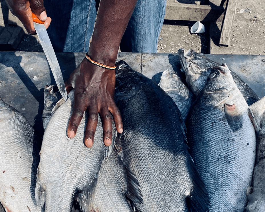 How cold chain infrastructure is transforming Kenyan fishing ...