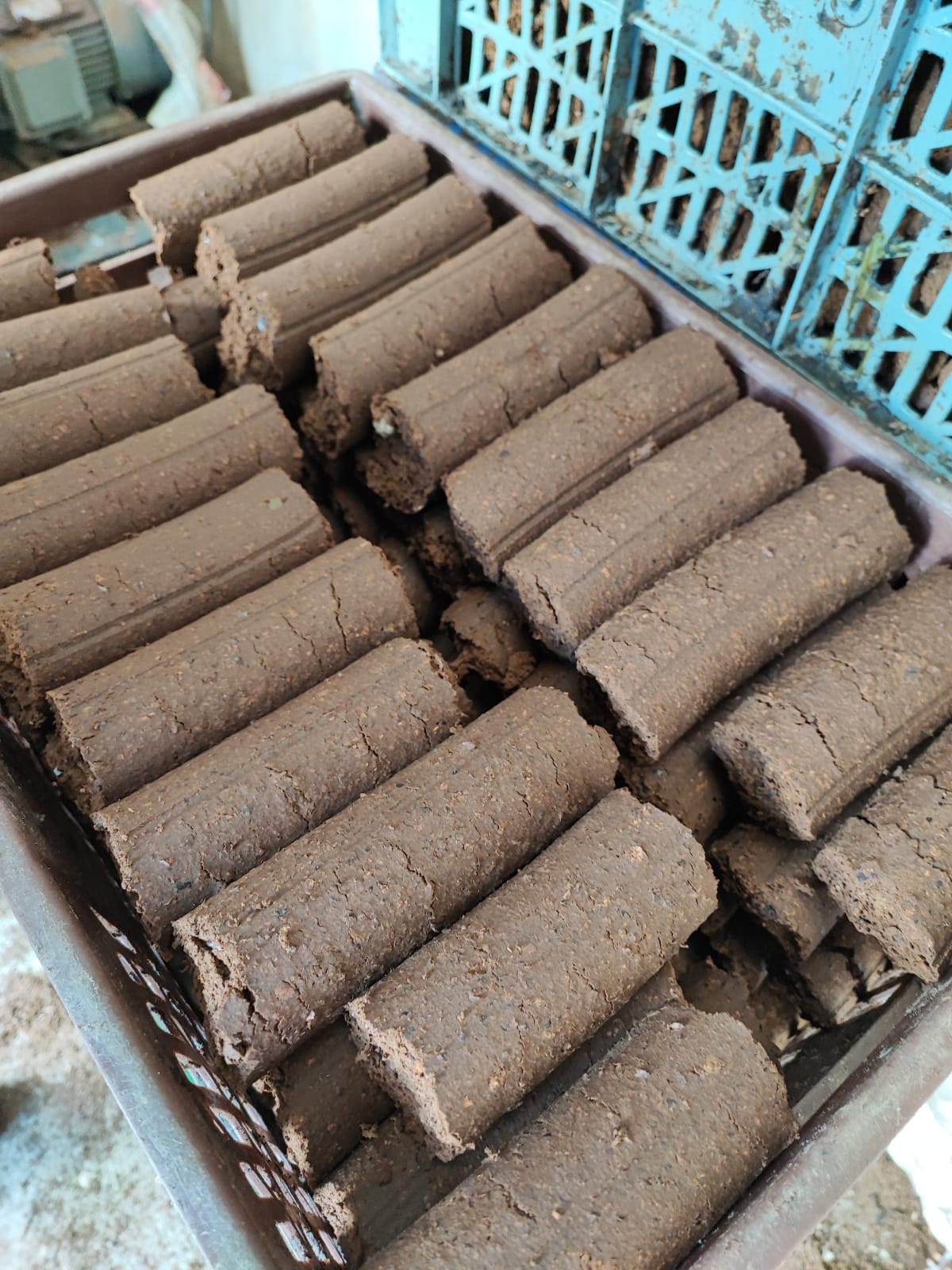 Exploring avocado pomace and briquettes as alternative fuel sources ...