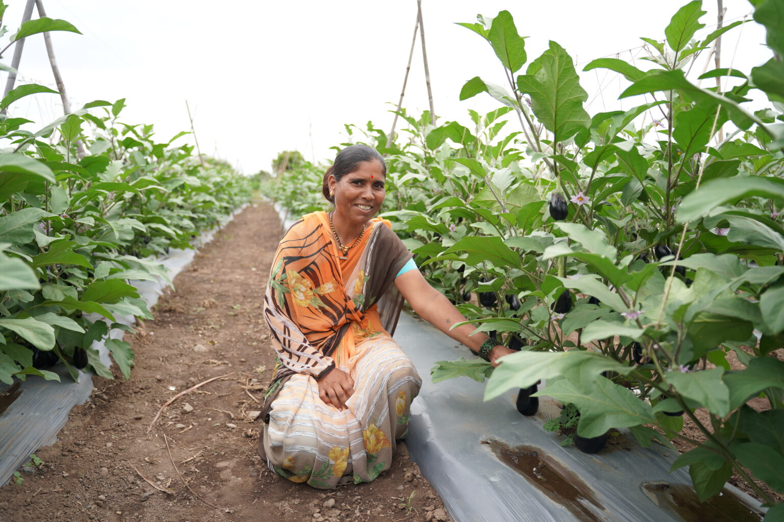 Our impact - Shell Foundation